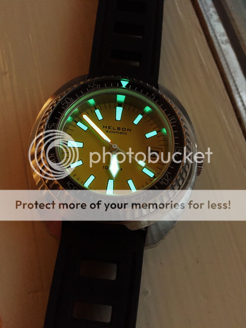 Yellow Helson Turtle - Stoked! | WatchUSeek Watch Forums