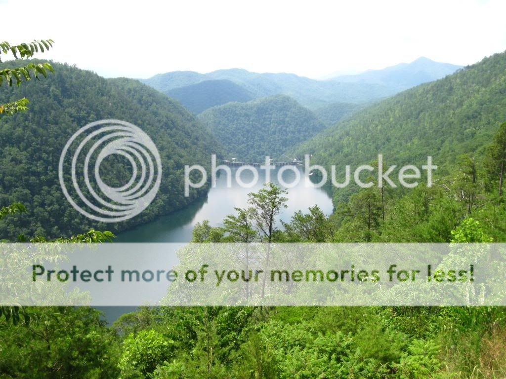 Good Morning, Everyone > General Discussion > AR15.COM